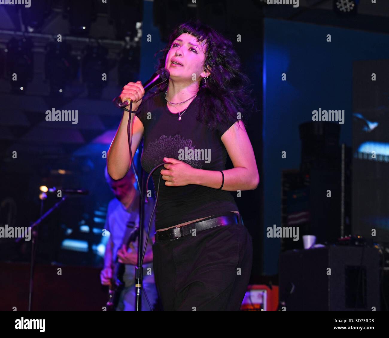 FORT LAUDERDALE, FL - NOVEMBER 22: Black Flag performs at The Culture ...