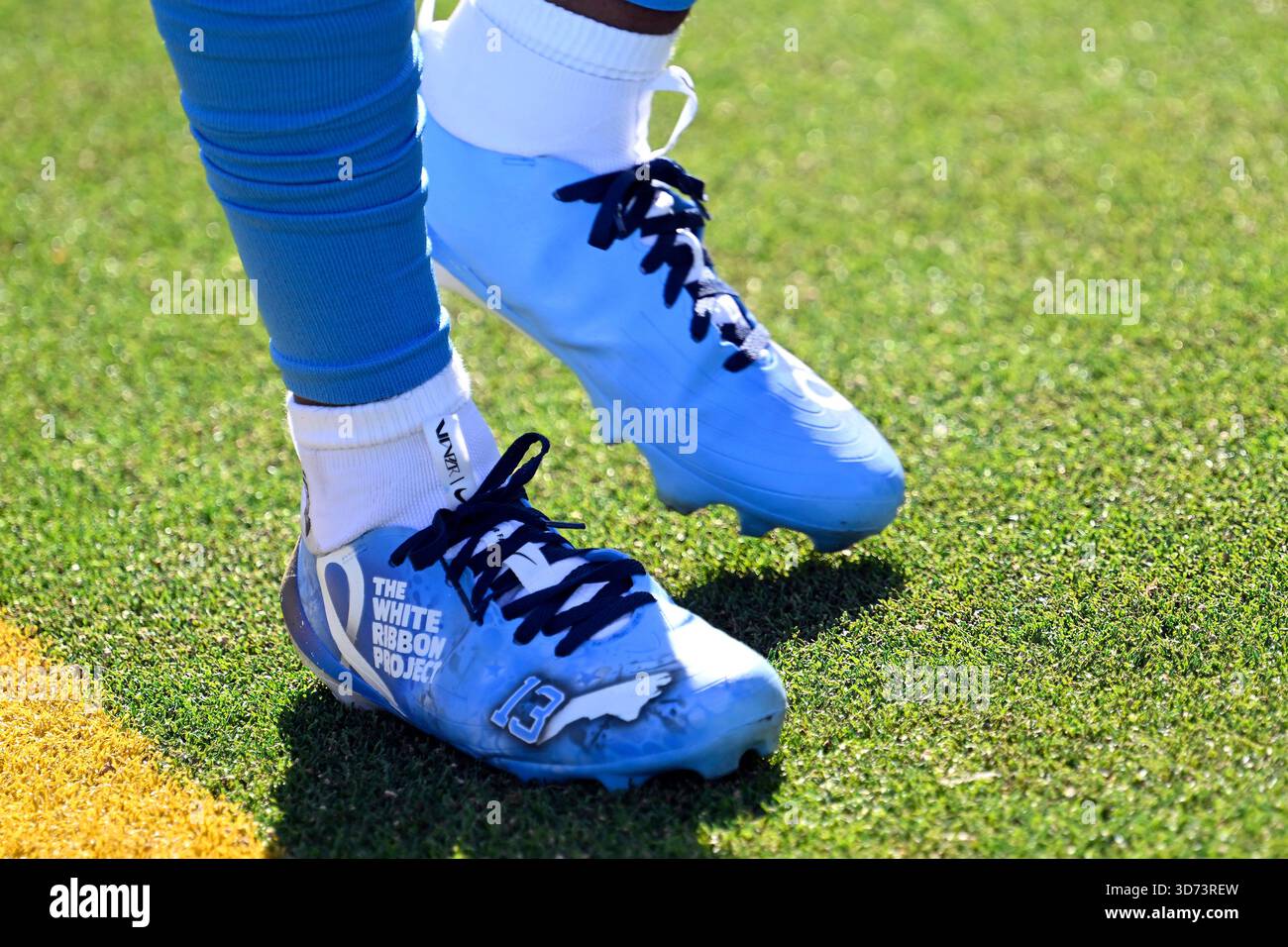 Tennessee Titans linebacker Cedric Gray wears shoes decorated for the ...