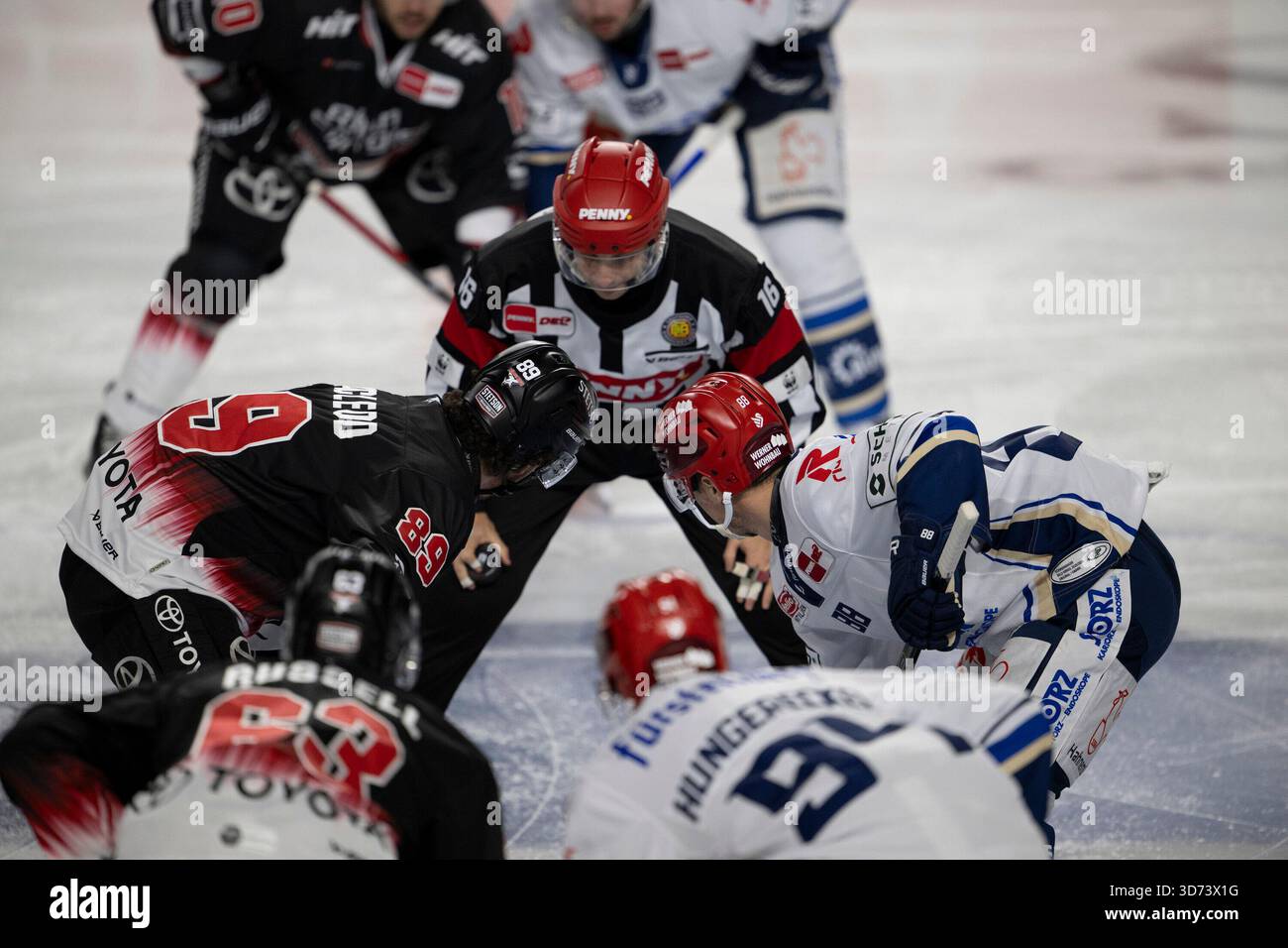 Sean MacFarlane (Head referee, #16); Gregor Macleod (Cologne Sharks ...
