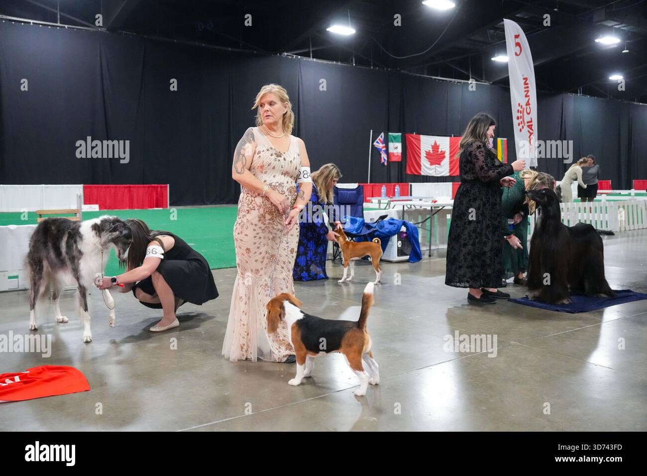 Handlers wait with their dogs before competing at The Canadian Kennel ...