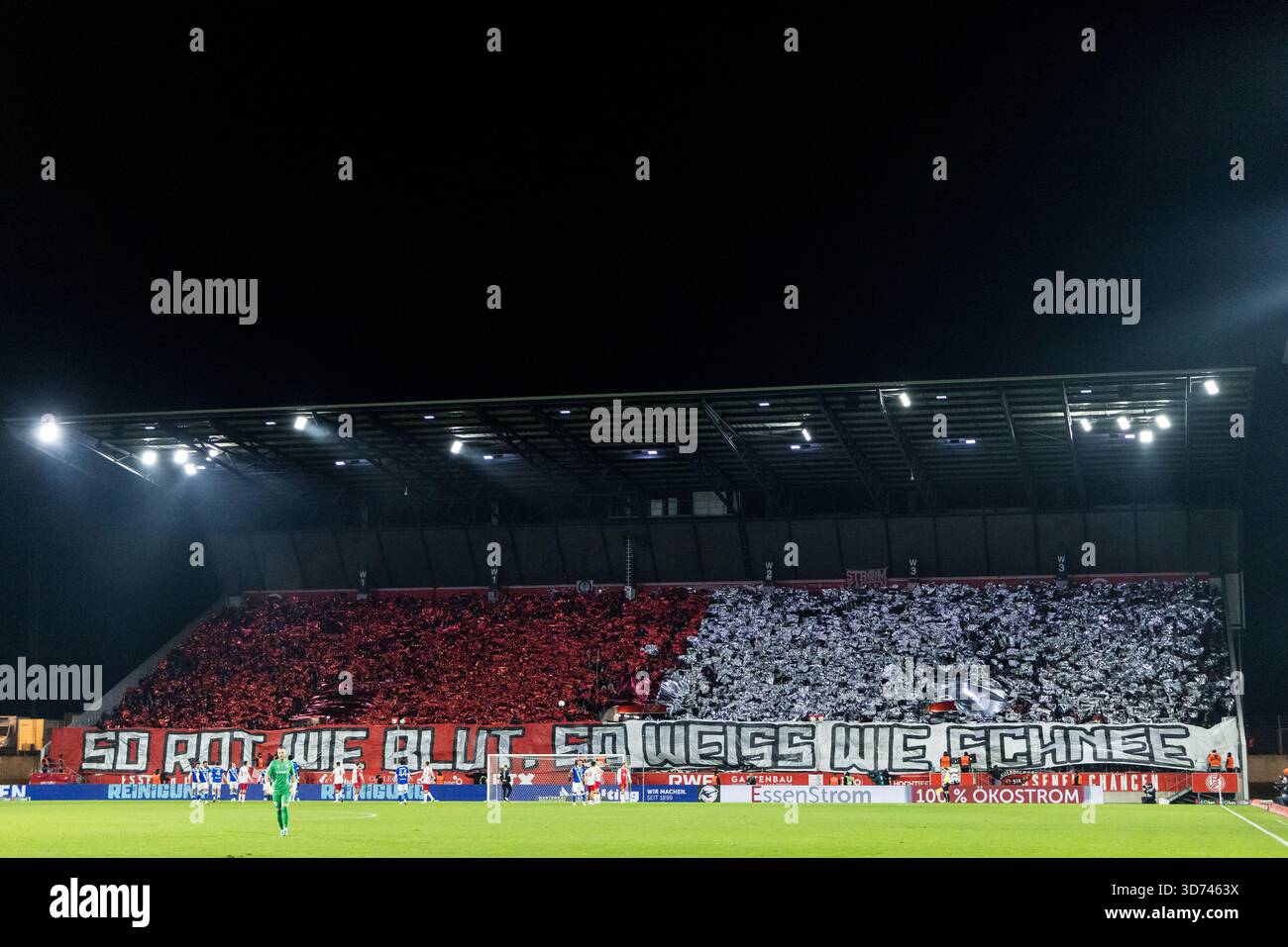 Choreography of the fans [supporters] of Rot-Weiss Essen As red as ...