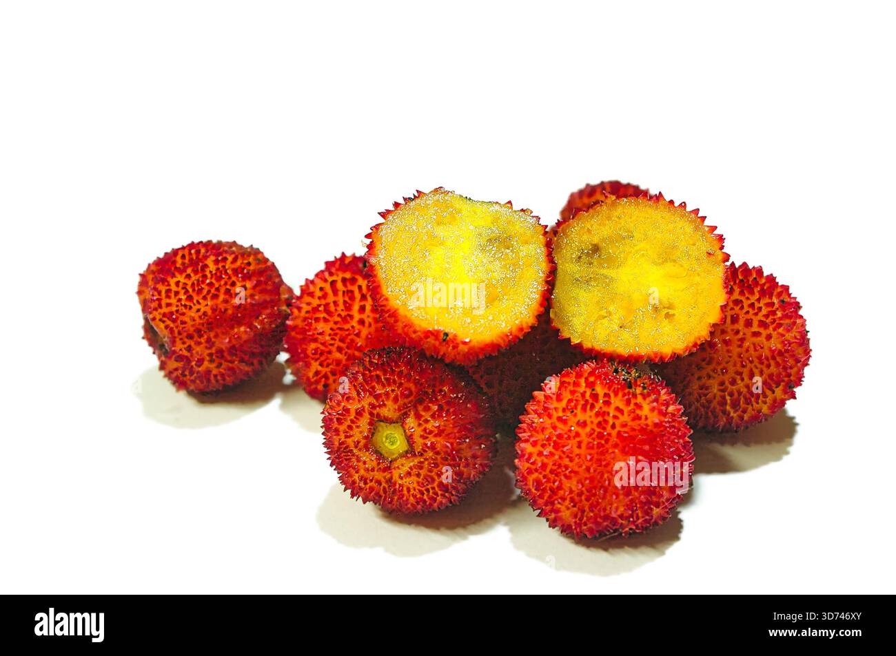 Strawberry trees from the wild trees of the forest Stock Photo - Alamy
