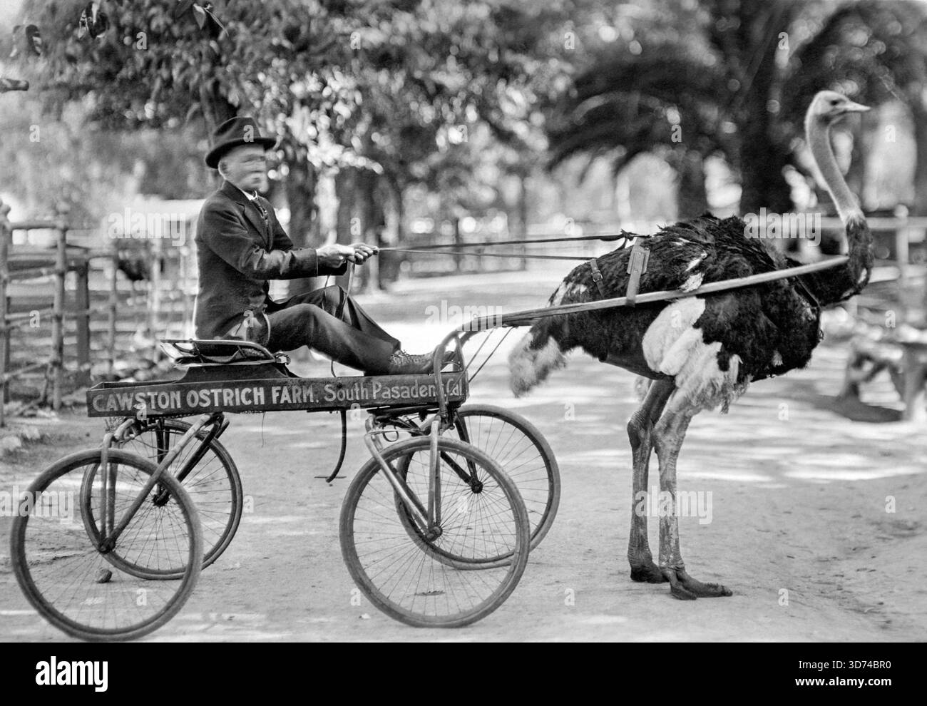 Issac newton sieber hi-res stock photography and images - Alamy
