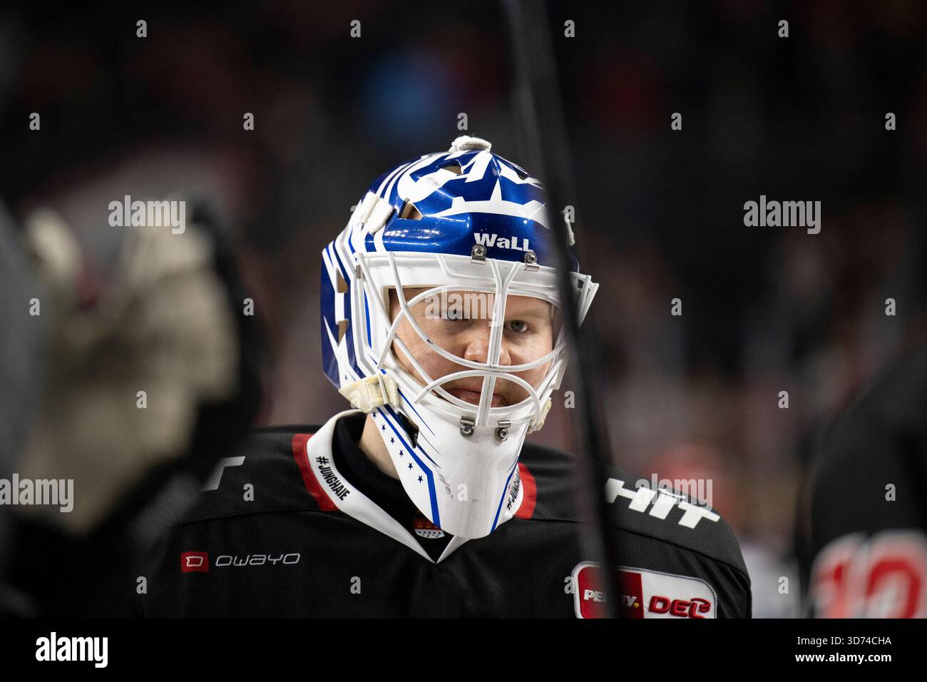 Janne Juvonen (Cologne Sharks, goalkeeper, #30); PENNY DEL 1; Cologne ...