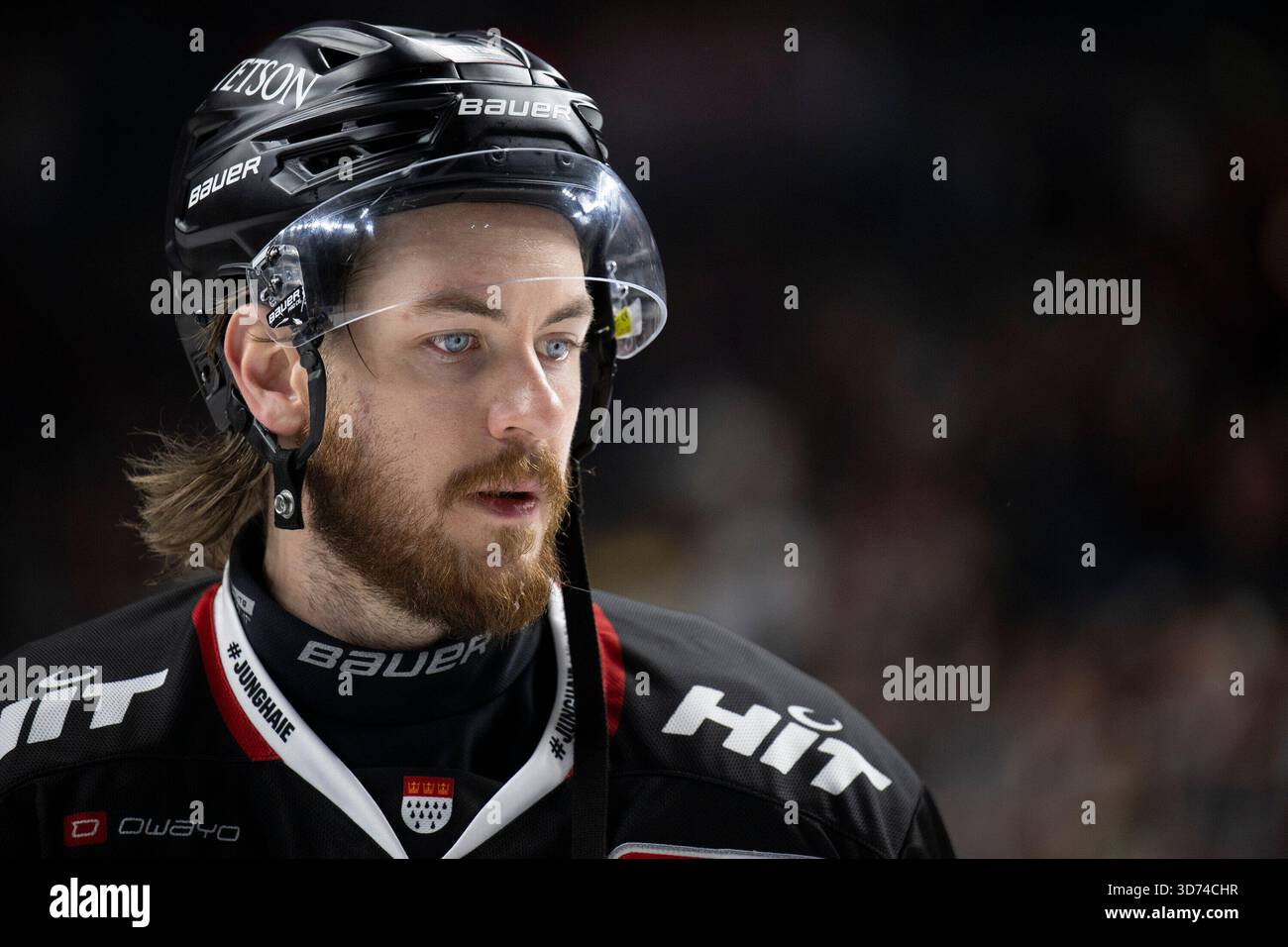 Ryan Macinnis (Cologne Sharks, Forward, #77); PENNY DEL 1; Cologne ...