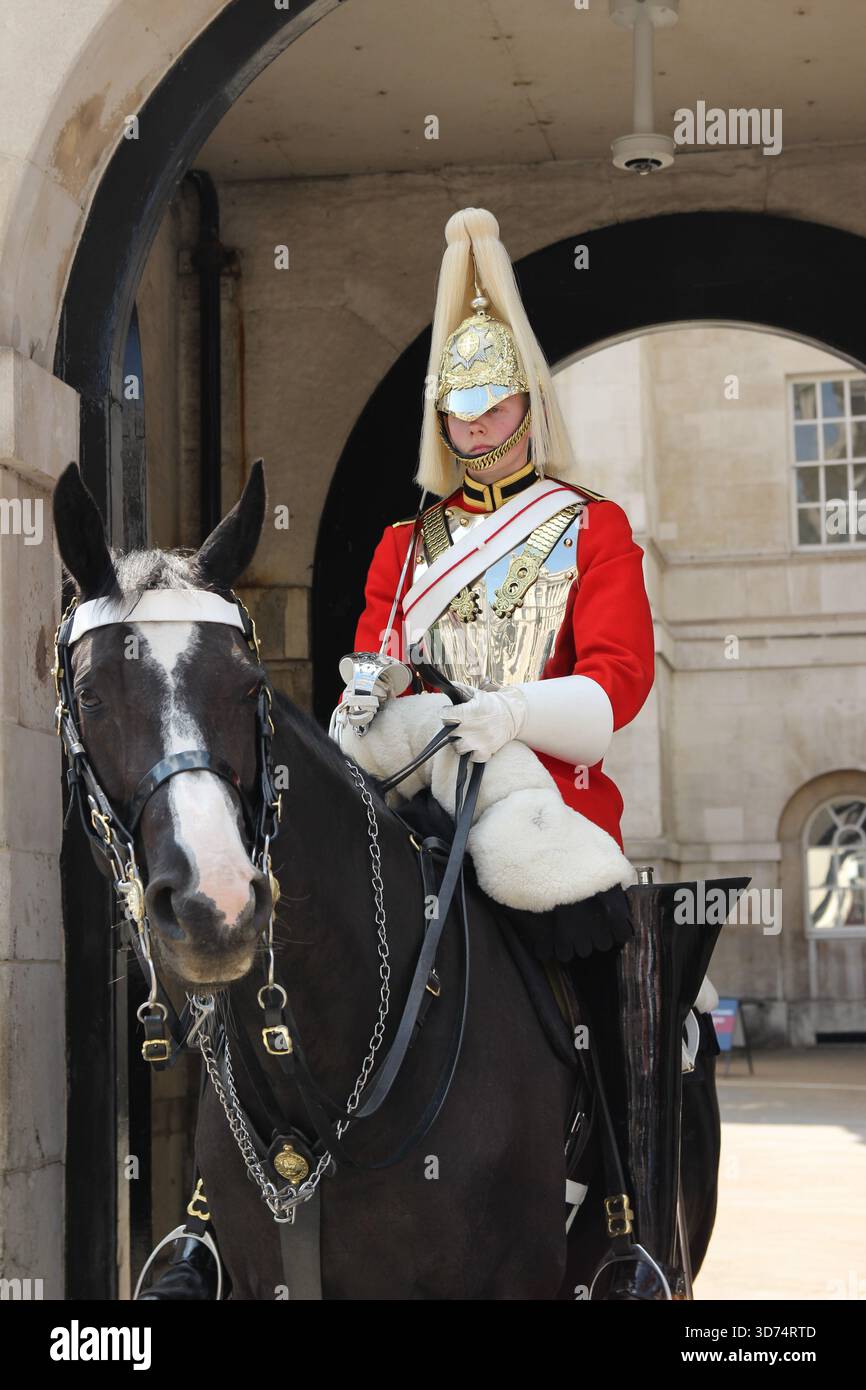 Guard in traditional uniform riding a horse at Horse Guards Parade in ...
