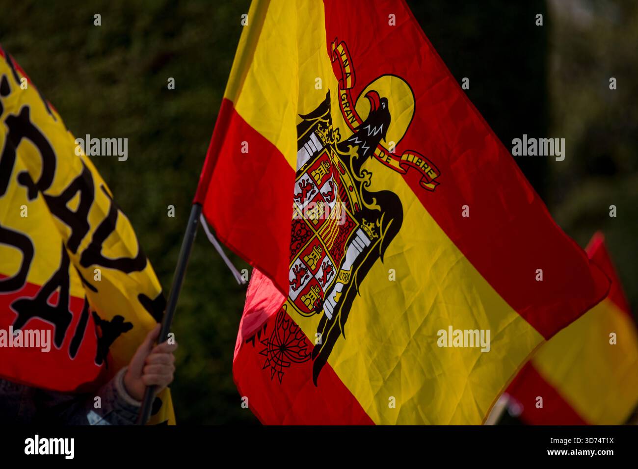A far-right supporter holds a Francoist flag during a rally ...