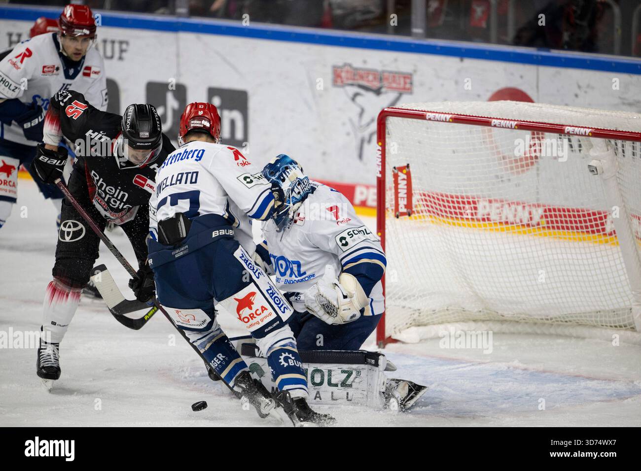 Louis- Marc Aubry (Cologne Sharks, Forward, #15); Alex Trivellato ...