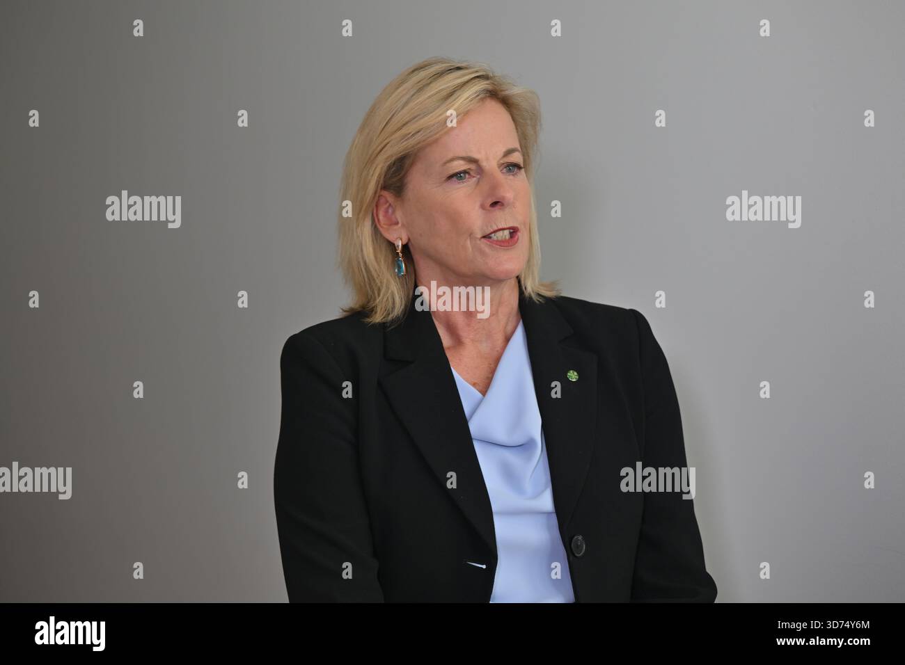 Shadow Minister for the Environment Angie Bell speaks to journalists in ...