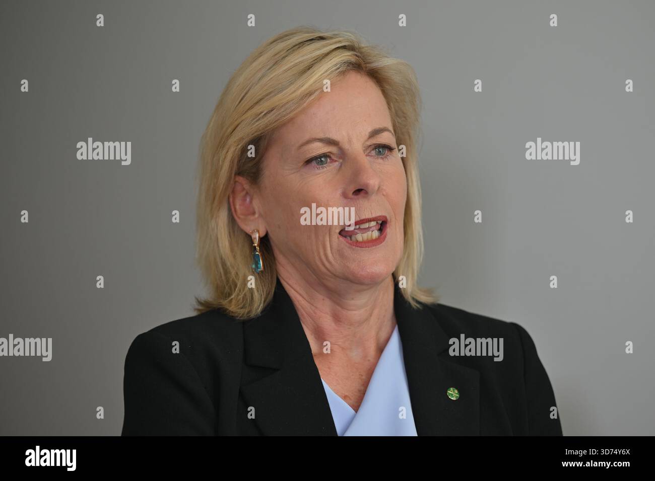 Shadow Minister for the Environment Angie Bell speaks to journalists in ...