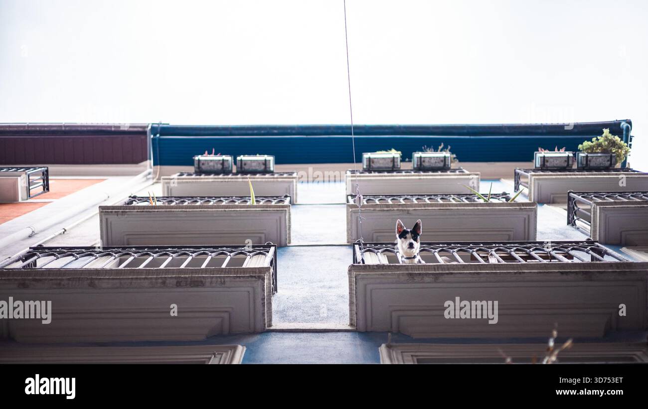 A low-angle shot looking up at a building facade with symmetrical ...