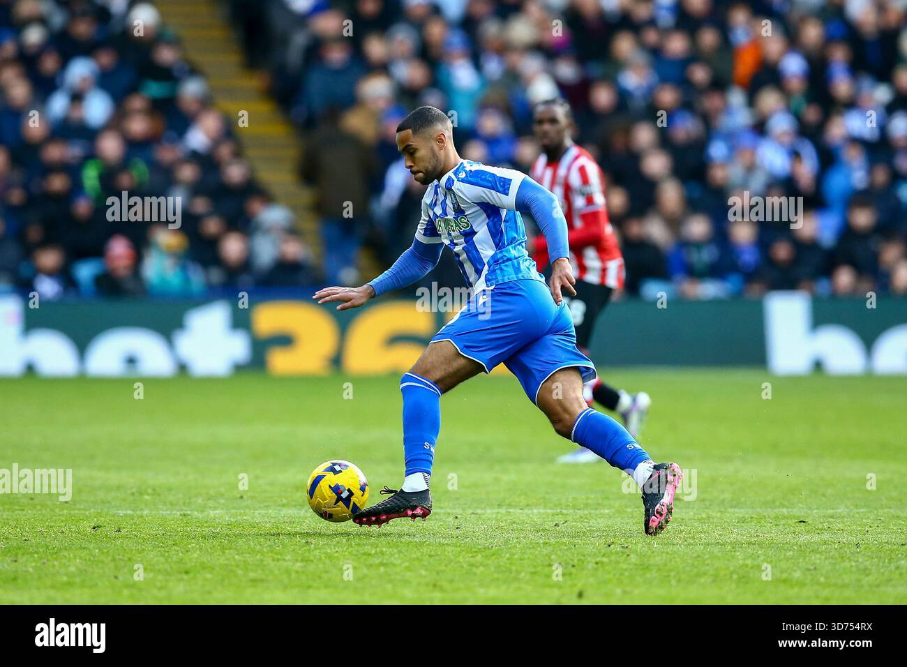 Hillsborough Stadium, Sheffield, England - 23rd November 2025 Max Lowe ...
