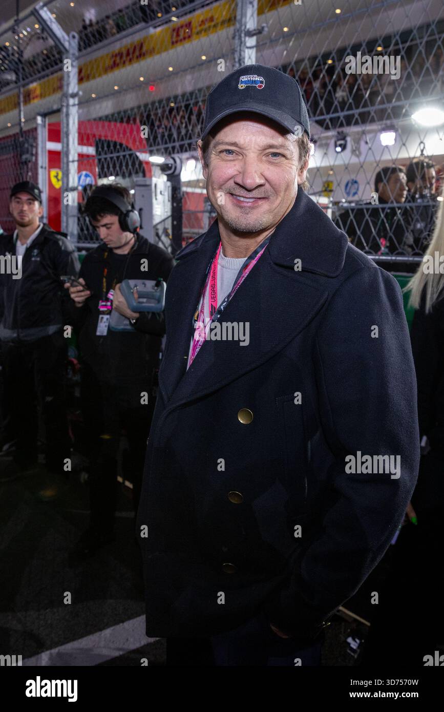 Jeremy Renner attends the grid during the Grand Prix at Formula 1 in ...