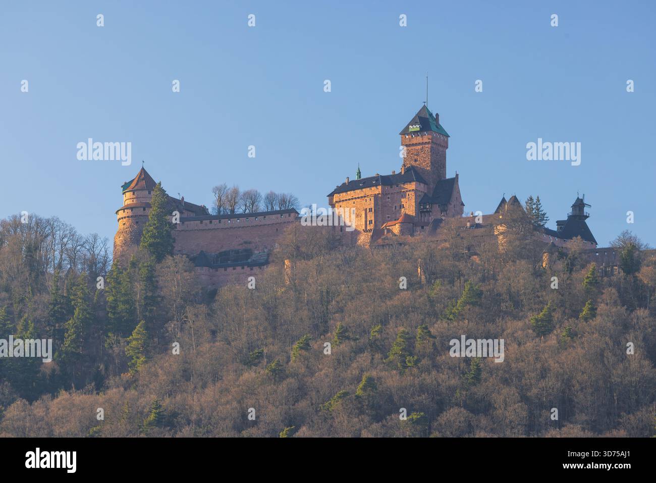 Chateau du Haut Koenigsbourg, a medieval castle, seeing sunlight in ...