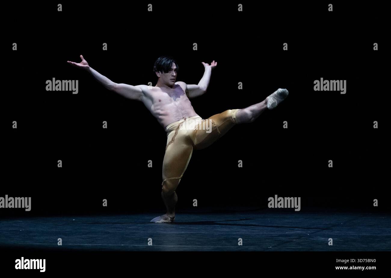 Dancers Anna Tsygankova and Giorgi Potskhishvili of Dutch National Ballet perform 'Thando ...