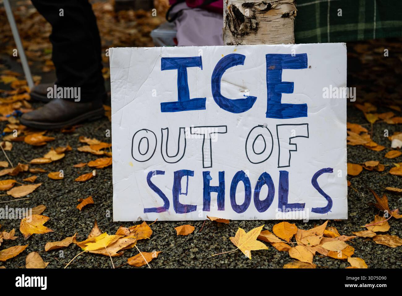 Seattle, USA. 23rd Nov, 2025. People gathering at the Stand Up To Trump ...
