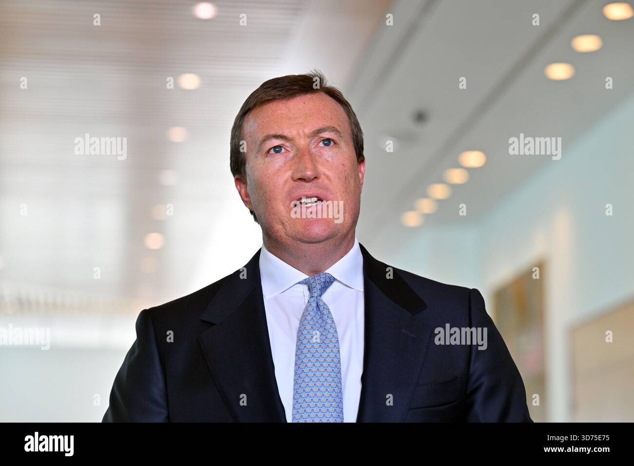 Business Council of Australia (BCA) Chief Executive Bran Black at a ...