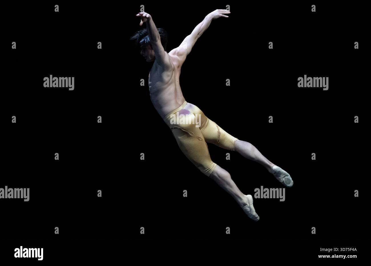 Dancers Anna Tsygankova and Giorgi Potskhishvili of Dutch National ...