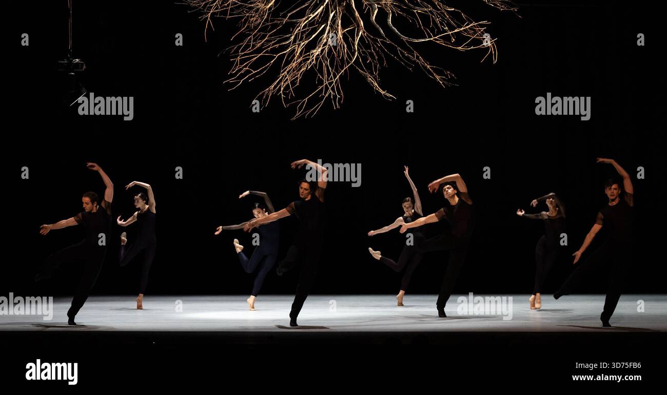 Dancers of Dutch National Ballet perform 'Wings of Wax' choreographed ...