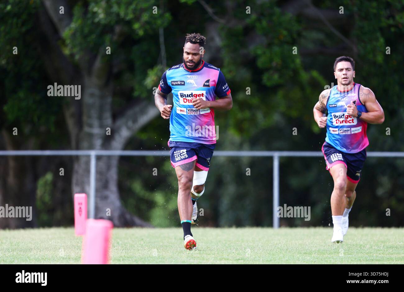 Hamiso Tabuai-Fidow during a Dolphins NRL training session at Bishop ...