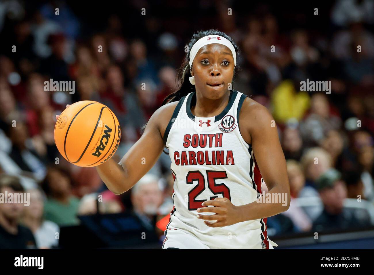 South Carolina guard Raven Johnson looks to pass against Queens of ...