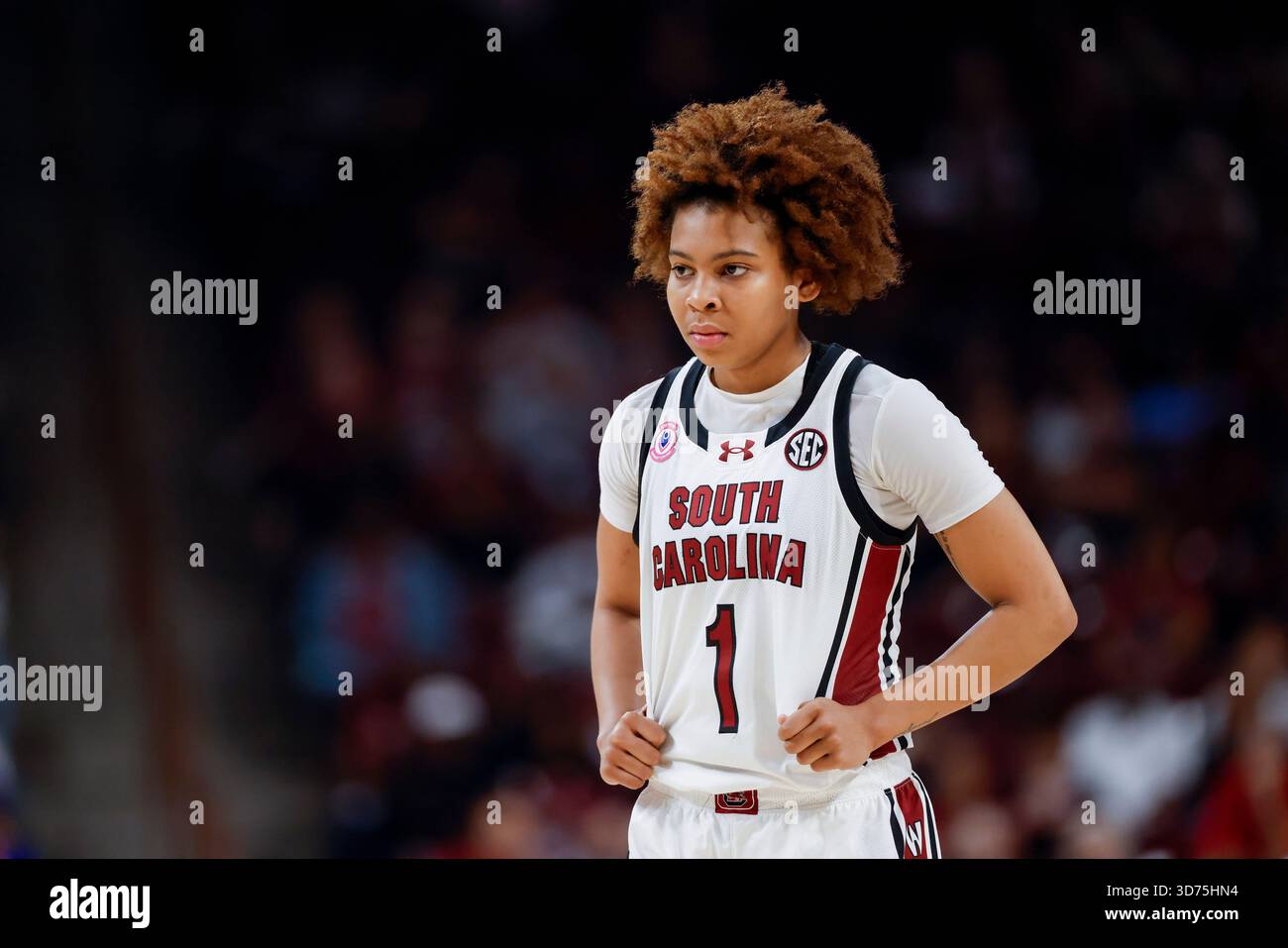 South Carolina guard Maddy McDaniel stands on the court during a break ...