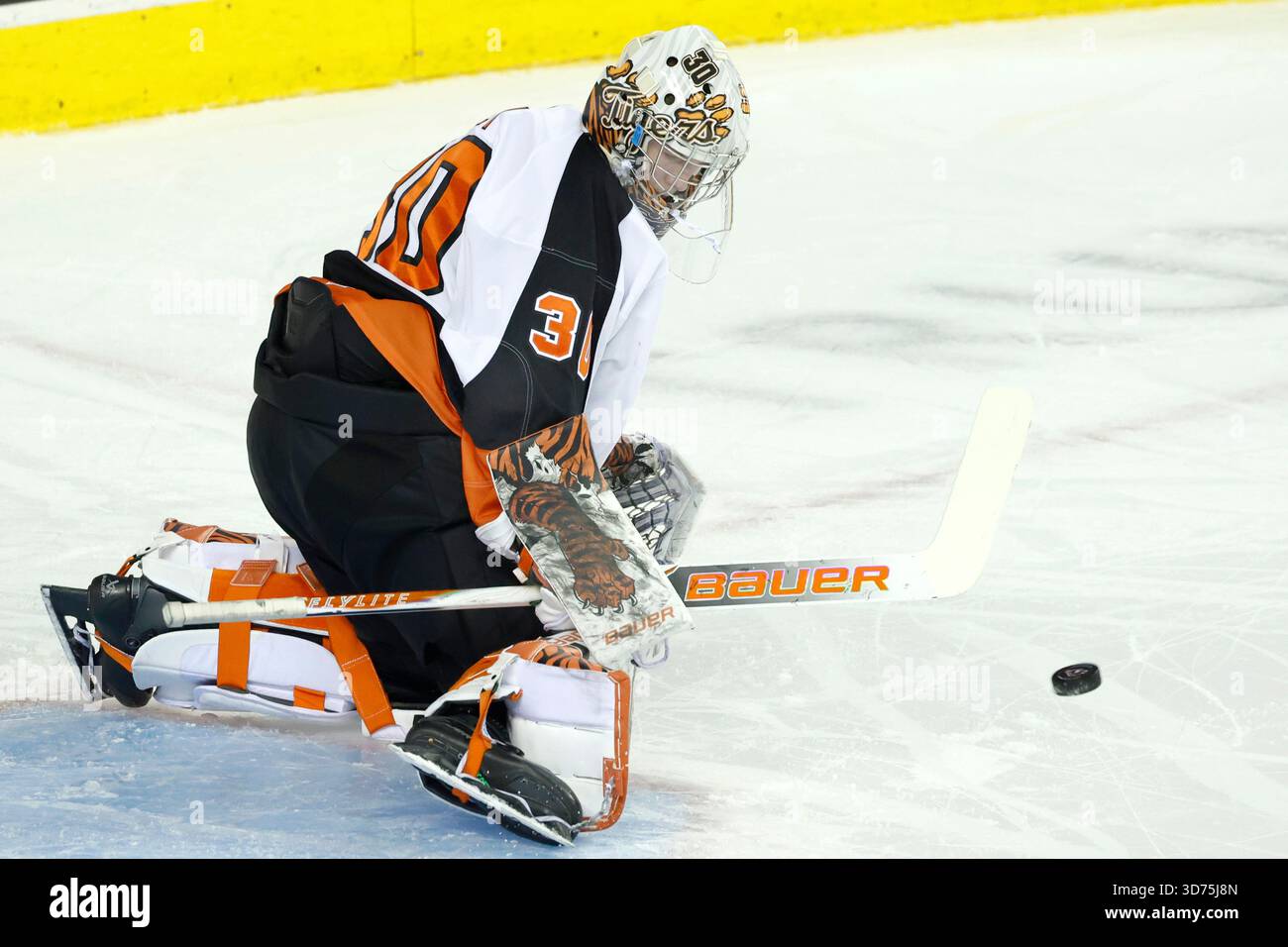 Profile photo on Medicine Hat Tigers goalie Carter Casey during WHL ...