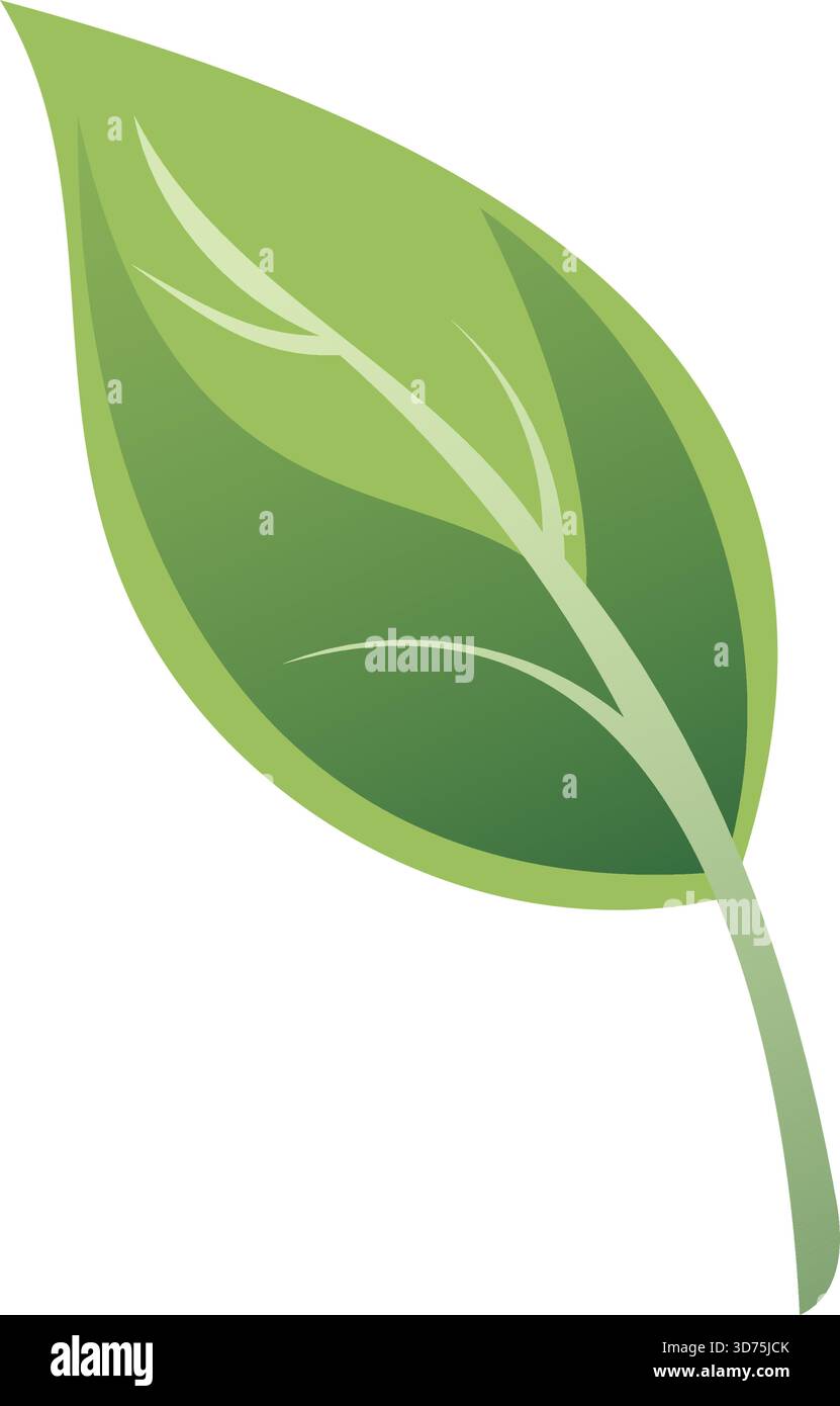 Color outdoor natural detailed Stock Vector Images - Alamy