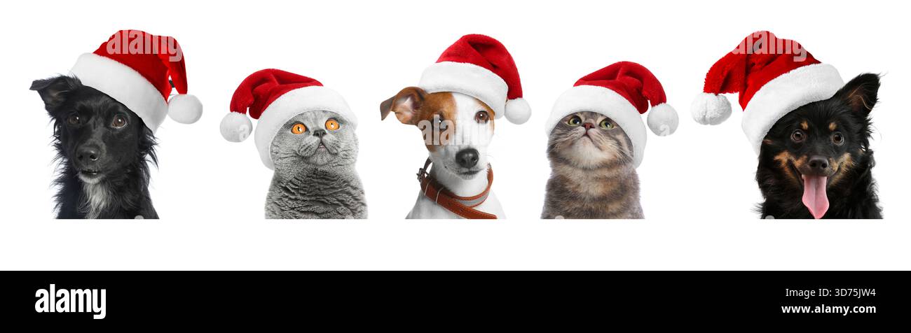 Adorable baby in santa Cut Out Stock Images & Pictures - Alamy