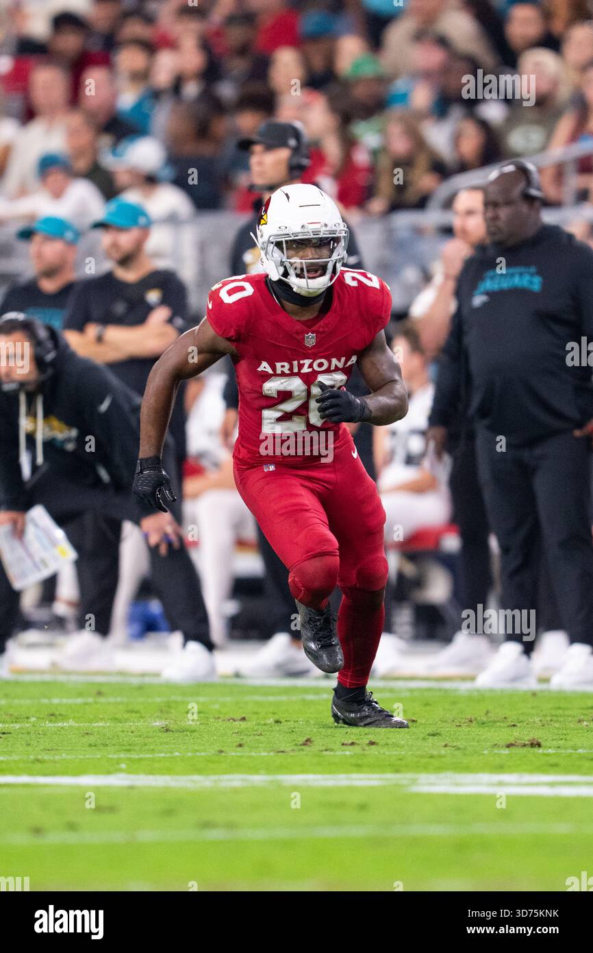 Arizona Cardinals running back Bam Knight (20) runs during an NFL ...