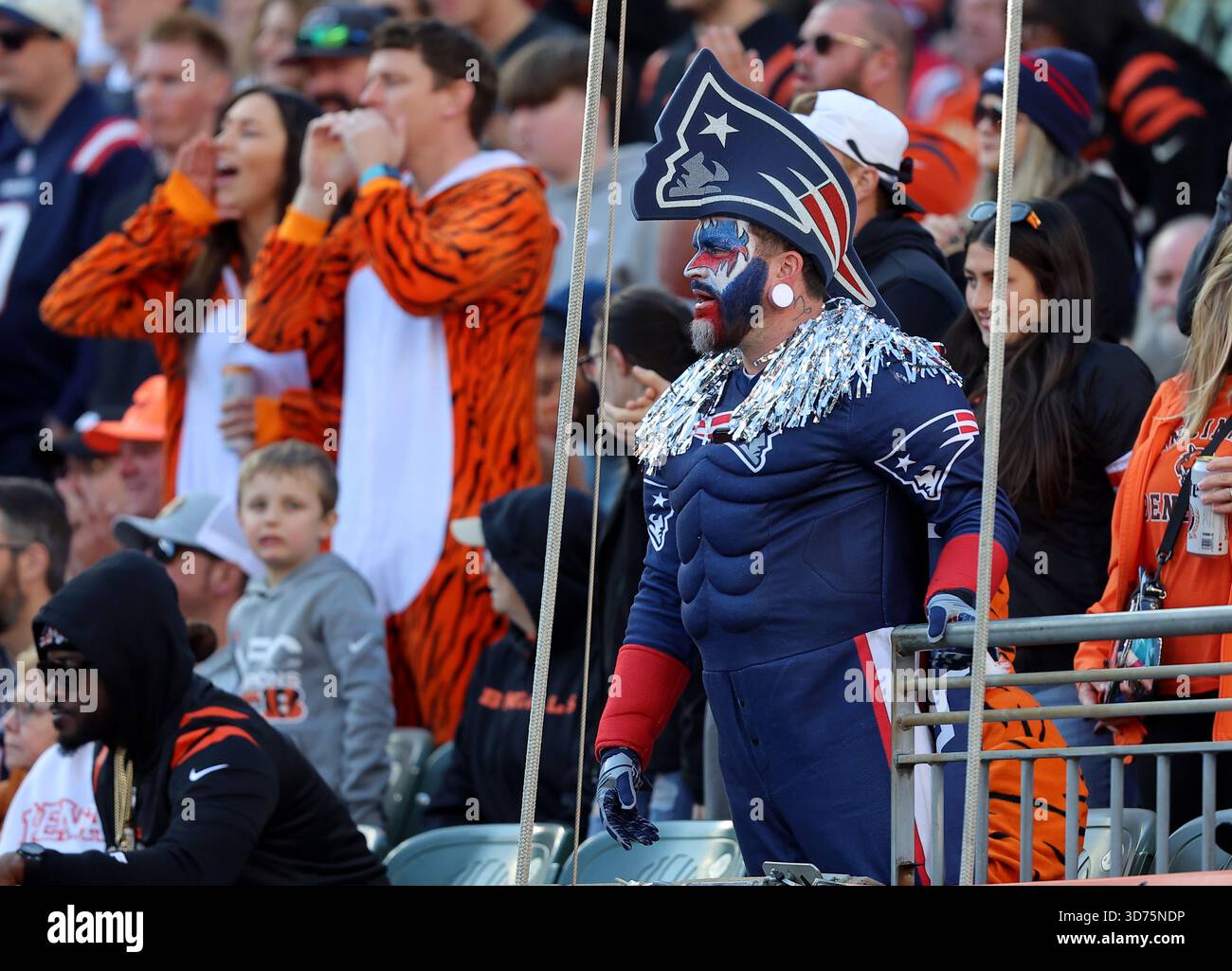 New England Patriots fans cheer for their team against the Cincinnati ...