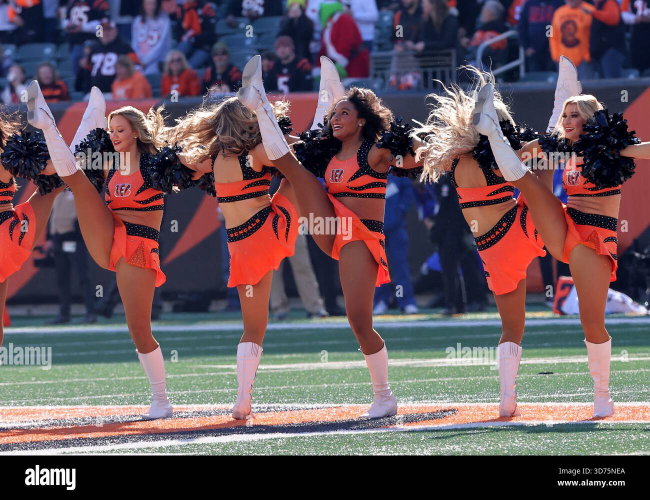 Cincinnati Bengals cheerleaders cheer for their team against the New ...