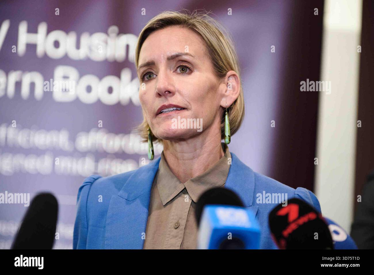 NSW Government Architect Abbie Galvinspeaks to media during a press ...