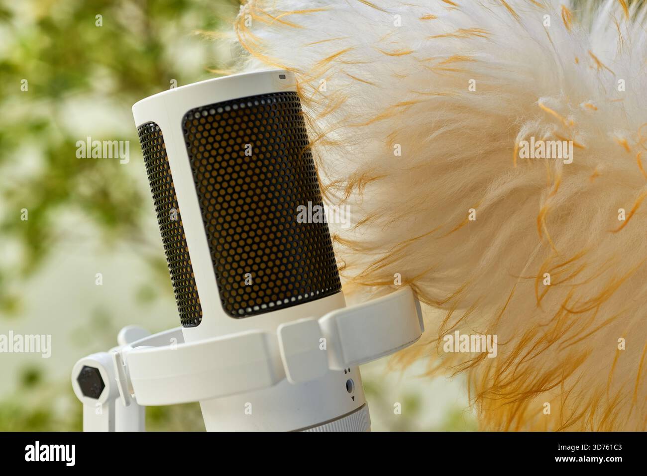 Large fluffy feather gently brushing against a professional microphone ...