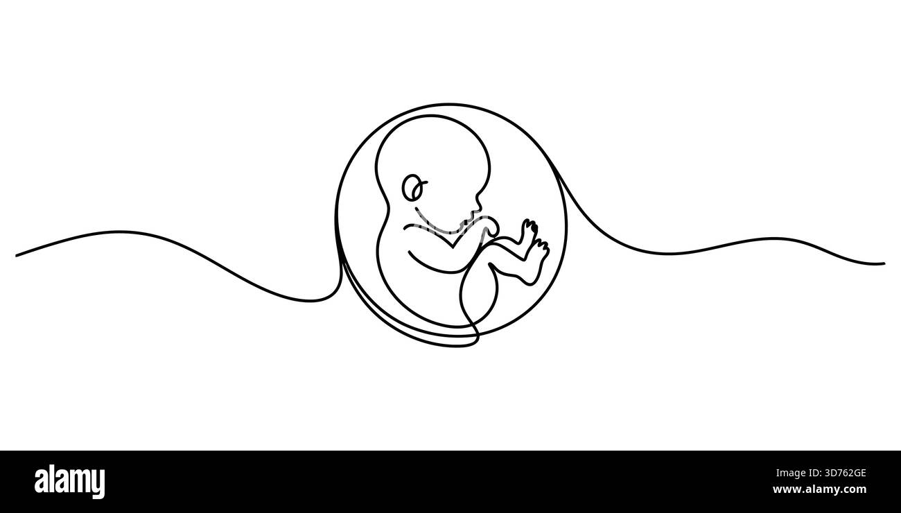 Continuous line art fetus in womb, pregnancy, new life, prenatal care ...
