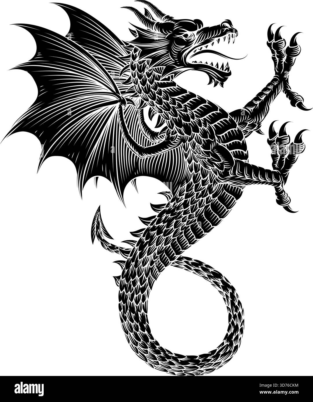 Heraldry Wyvern Heraldic Coat of Arms Dragon Stock Vector Image & Art ...