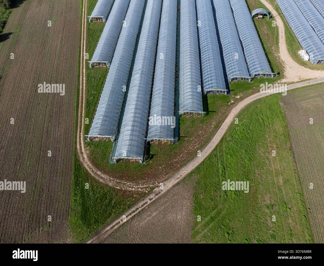 An aerial top-down view of long hoop greenhouses beside a tilled field ...