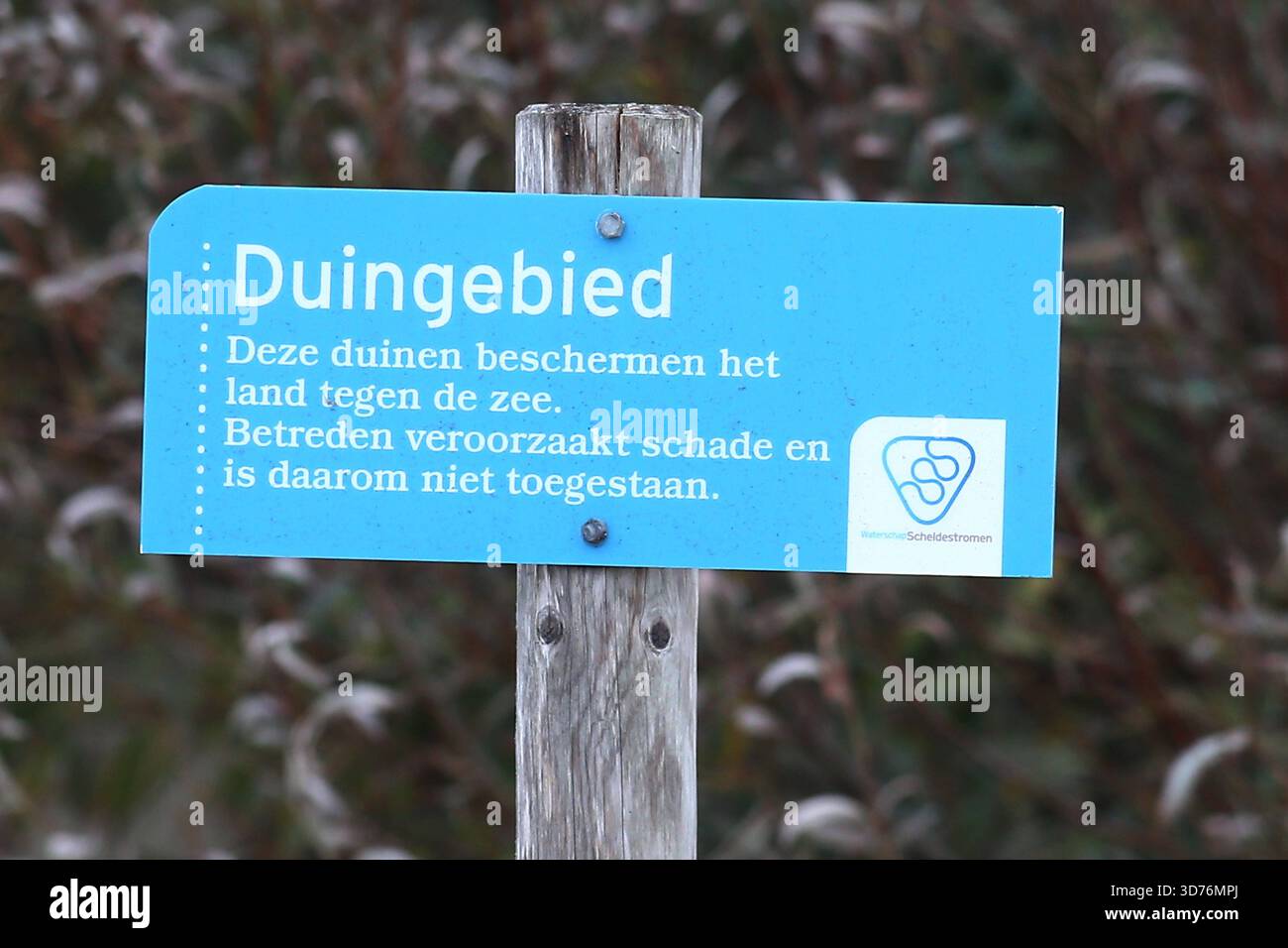 23.11.2025 xsvx, Wirtschaft, Hinweisschild Dünengebiet Duingebied am ...