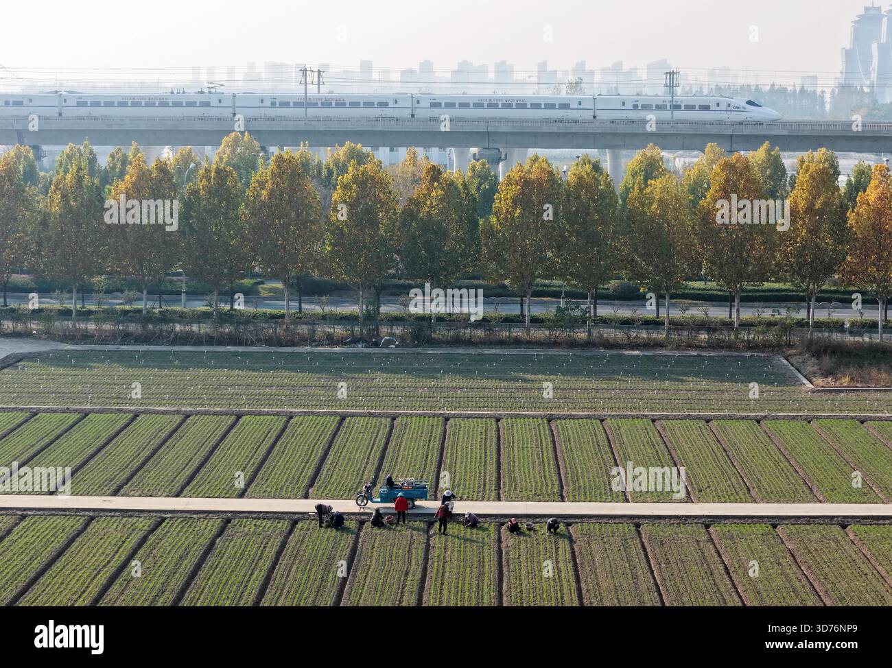 Aerial photo shows farmers working in the field in Yangzhou City, east ...