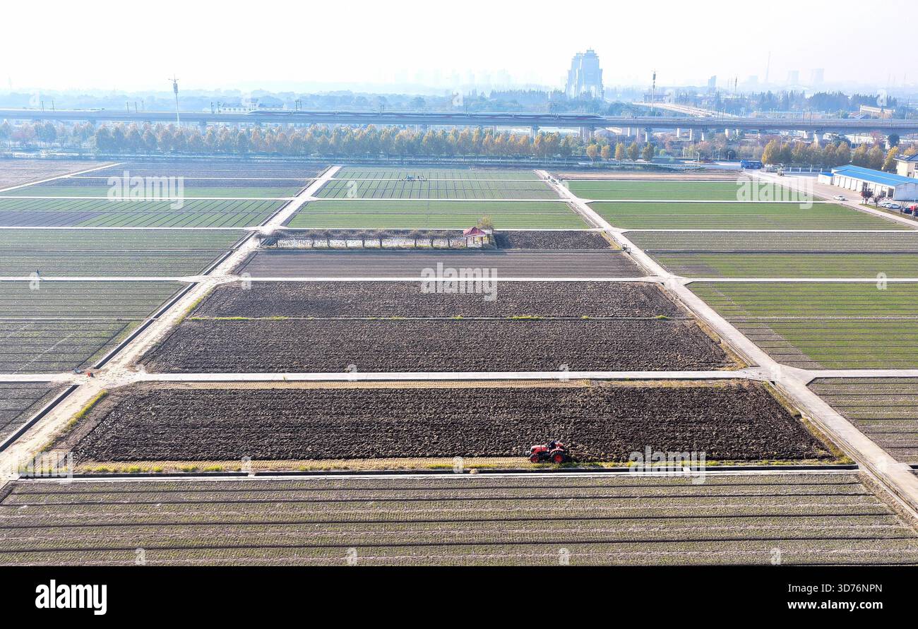 Aerial photo shows farmers working in the field in Yangzhou City, east ...