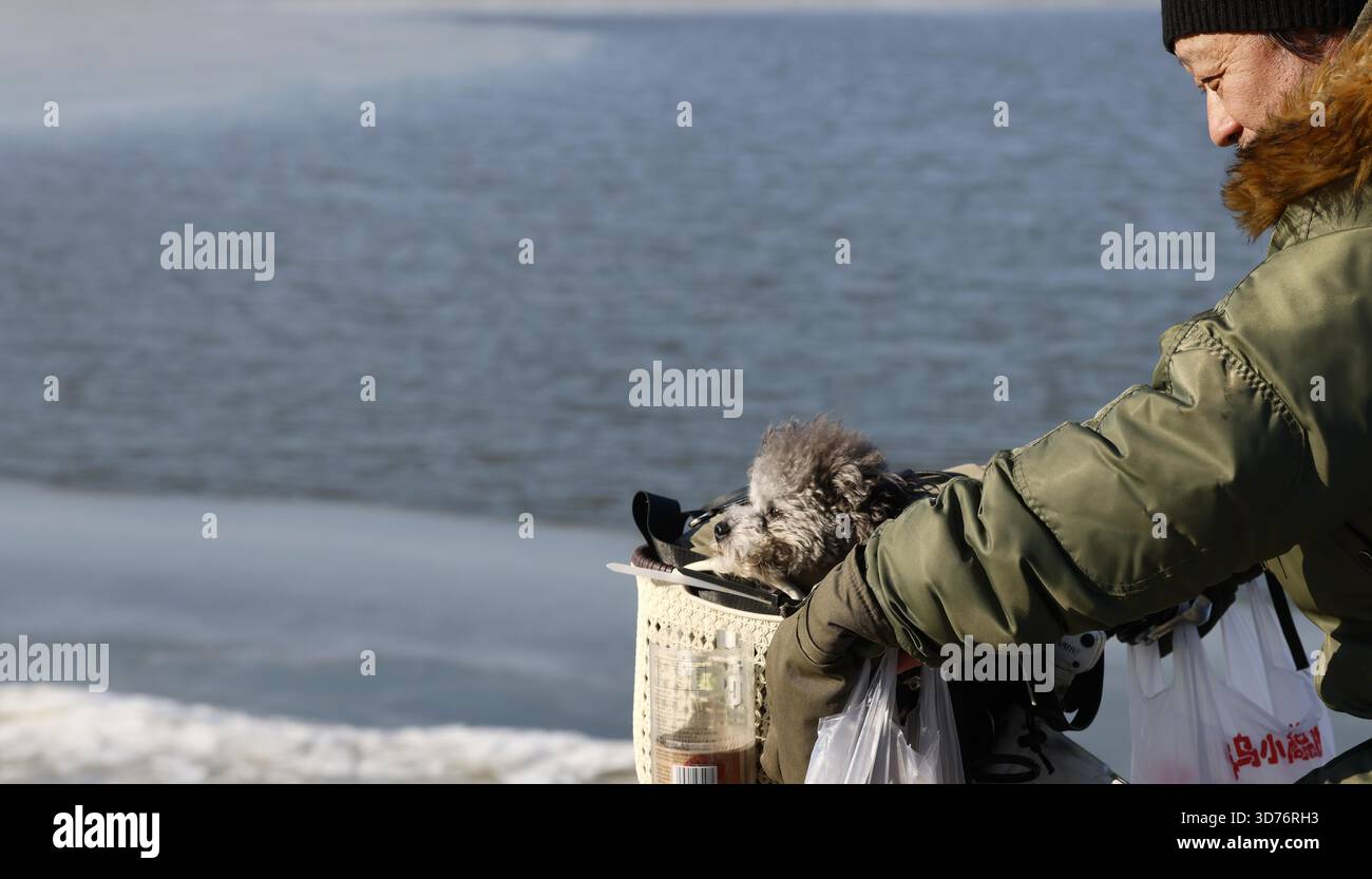 The Songhua River enters its frozen period in Harbin City, northeast ...