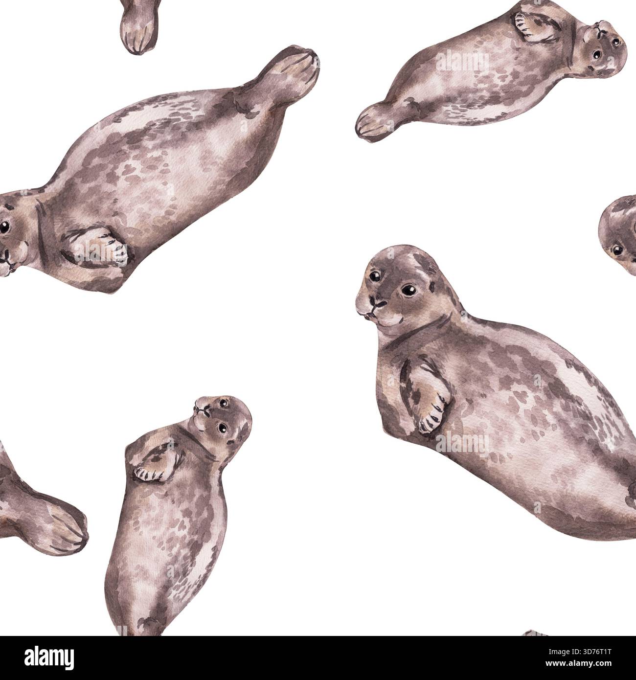 Fur seal. Watercolor seamless pattern with seals isolated on white ...