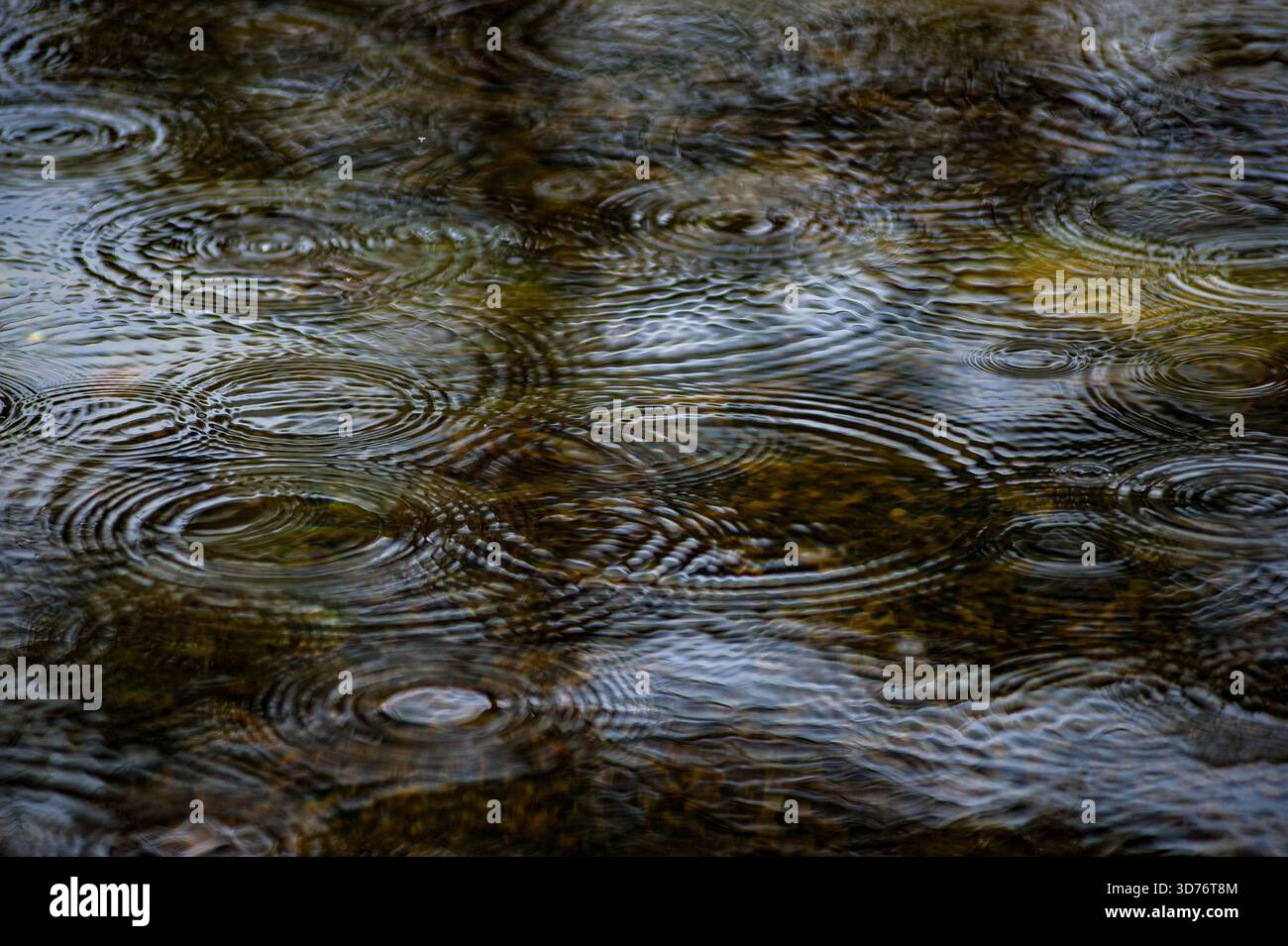 Serene water surface hi-res stock photography and images - Alamy