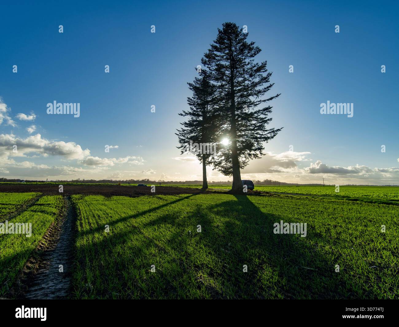 Illustration - Farmland at Normandy countryside in France on November ...