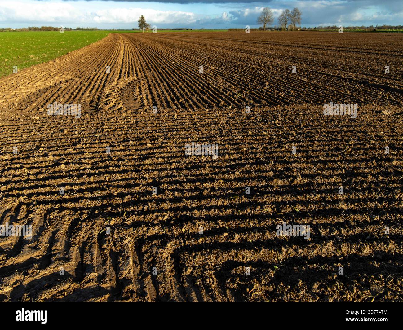 Illustration - Farmland at Normandy countryside in France on November ...