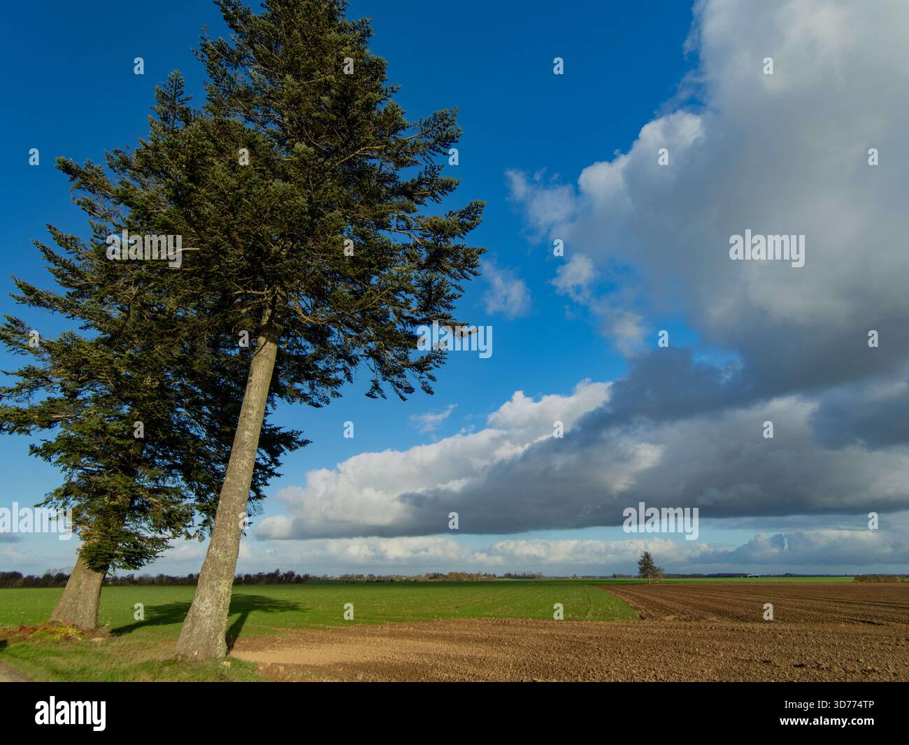 Illustration - Farmland at Normandy countryside in France on November ...
