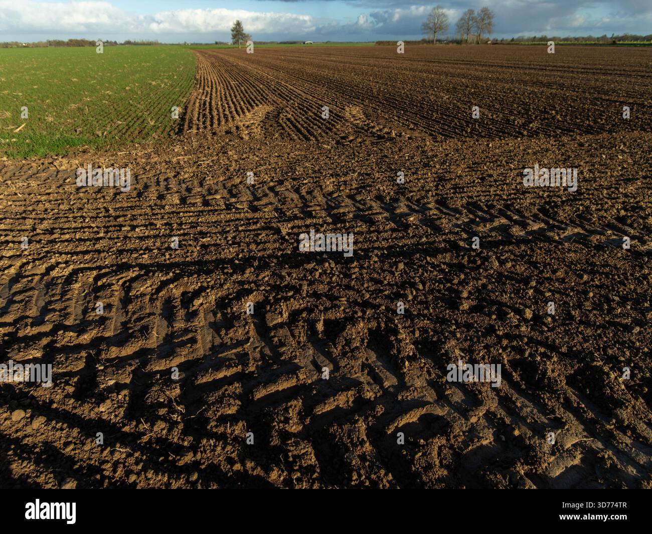 Illustration - Farmland at Normandy countryside in France on November ...