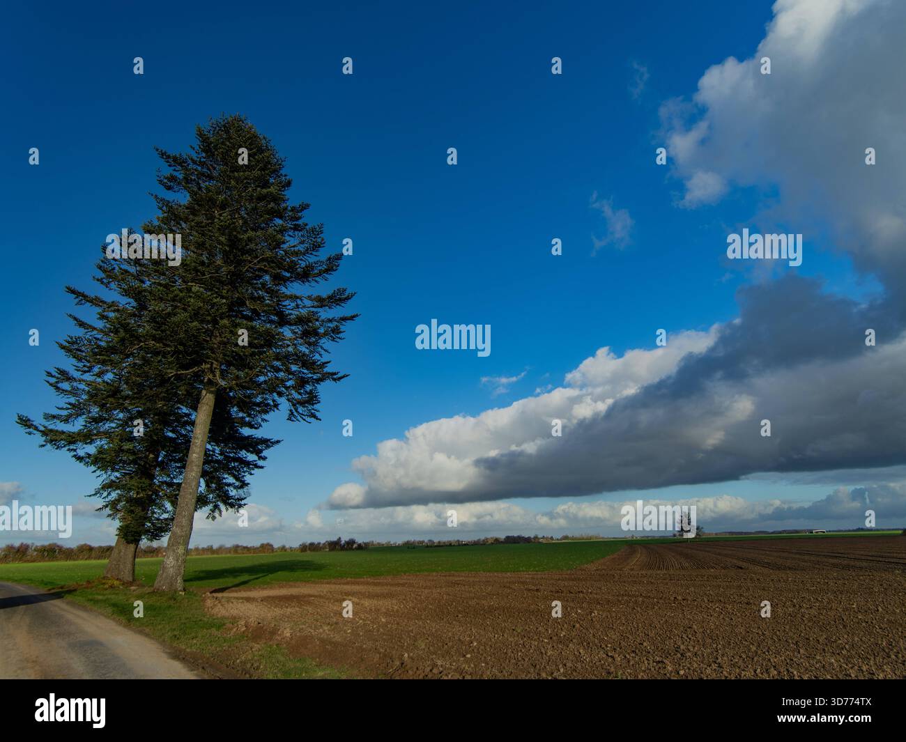 Illustration - Farmland at Normandy countryside in France on November ...