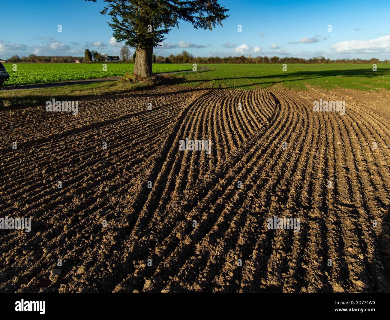 Illustration - Farmland at Normandy countryside in France on November ...