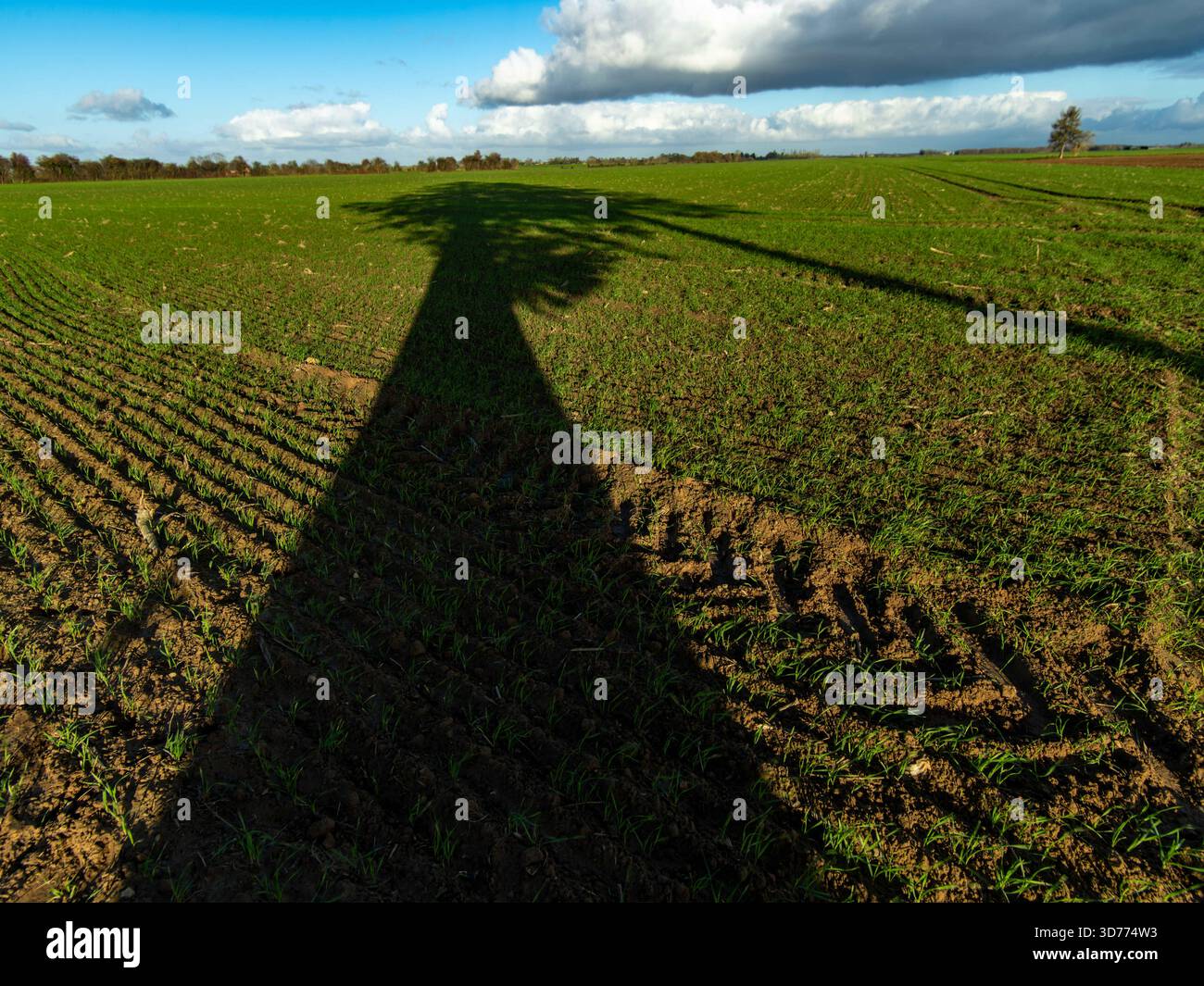 Illustration - Farmland at Normandy countryside in France on November ...